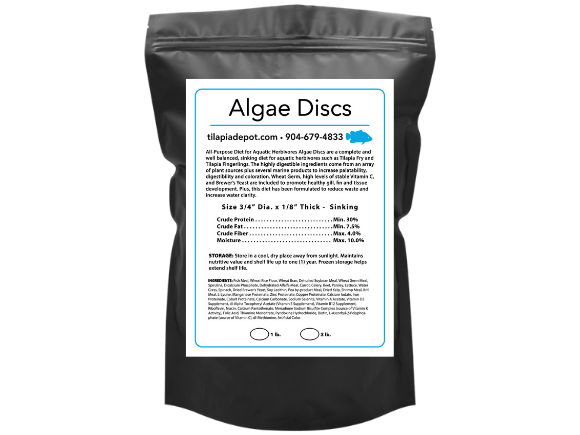 Algae Discs - Tilapia Depot
